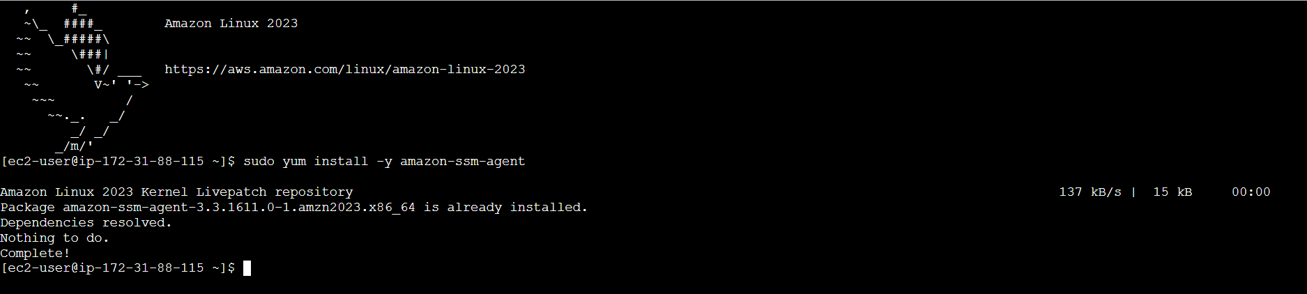 How to Set Up AWS Systems Manager: A Step-by-Step Beginner's Guide ...